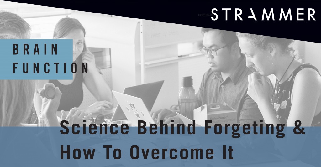 Brain Function - science behind forgetting LinkedIn - Strammer
