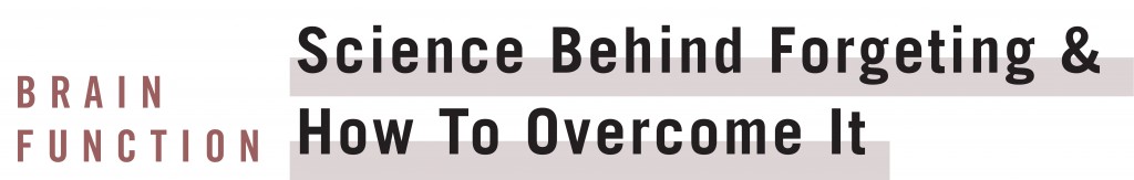 Science Behind Forgetting and How to Overcome It - Strammer